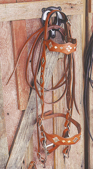 Bridles: Parade Bridle